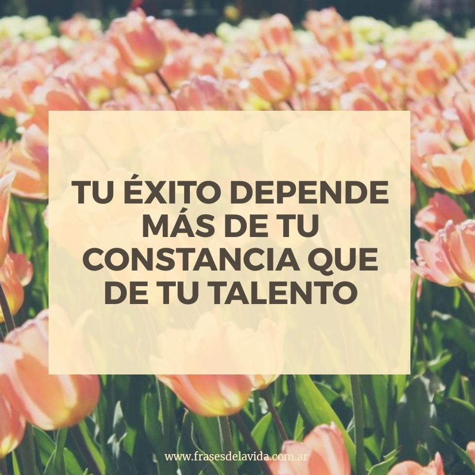 El éxito depende de la constancia - Frases de la vida