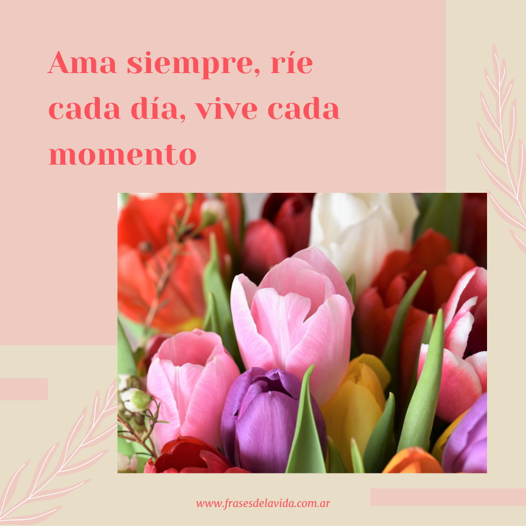 Ama siempre, ríe cada día, vive cada momento - Frases de la vida