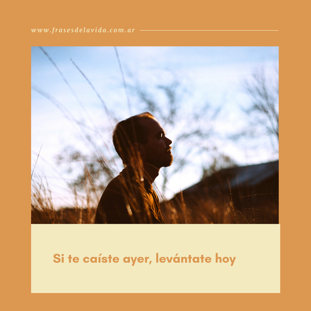 Si te caíste ayer, levántate hoy - Frases de la vida